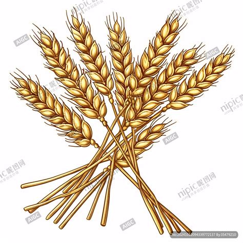 Ai创作图卡通小麦子 麦穗稻穗收割小麦 金色大麦插画 手绘麦穗大麦 金色麦子插画 金色麦穗插画 卡通稻穗麦子图标 麦穗卡通形象 大麦插画 麦穗图 稻子小麦插画 麦粒插画 小麦图nipic
