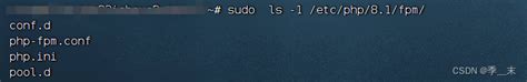 ubuntu安装php8 1 csdn博客