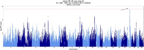 How Does Random Tie Breaking During Quantile Normalization Affect Gwas