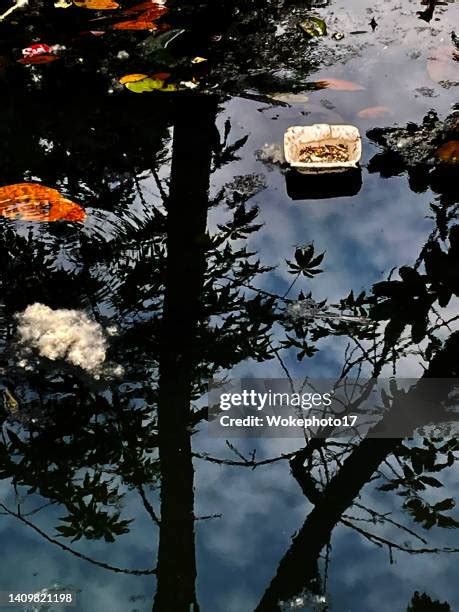 Polystyrene Float Photos And Premium High Res Pictures Getty Images