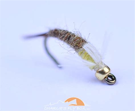 Barr Emerger Bead Head Charliesflybox