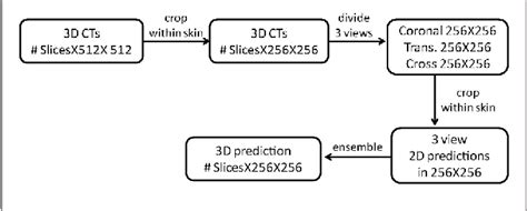 Figure 1 From Deep Learning Augmented Head And Neck Organs At Risk