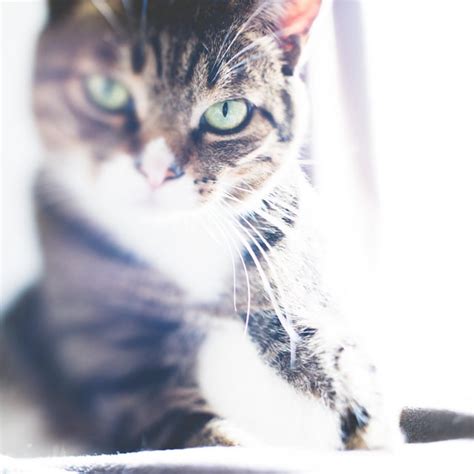 Ghost Mode Activated Rbreakpoint