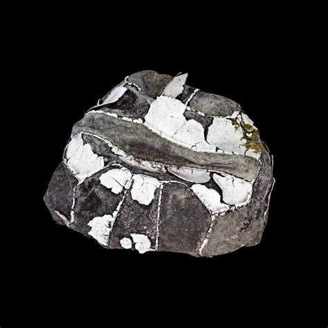 Liam Bailey — Photofusion