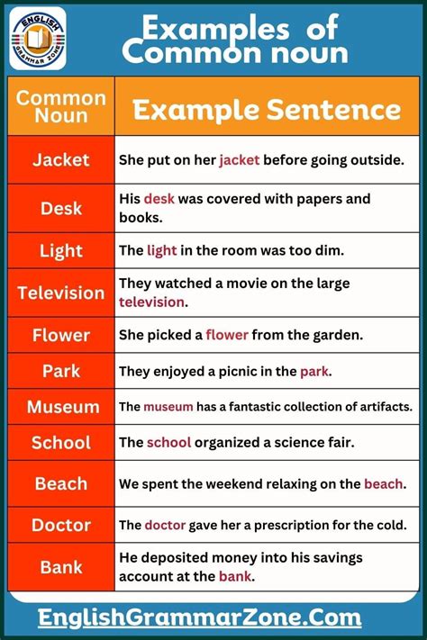 150 Examples Of Common Noun In Sentence English Grammar Zone