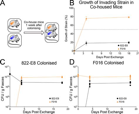 New Paper Multidrug Resistant E Coli Encoding High Genetic Diversity In Carbohydrate