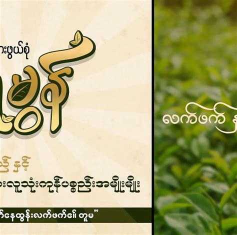 ဆံရစ်ဝိုင်း ဆံရစ်ဝိုင်း လက်ဖက်နှင့် အကြော်စုံ