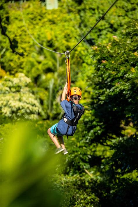 Ziplining On Maui All 5 Courses Compared 2026 Prices