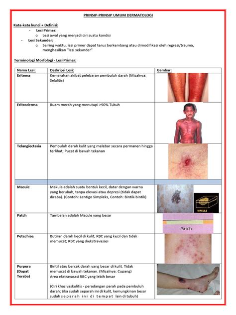 Prinsip Dasar Lesi Kulit Dalam Dermatologi Pdf