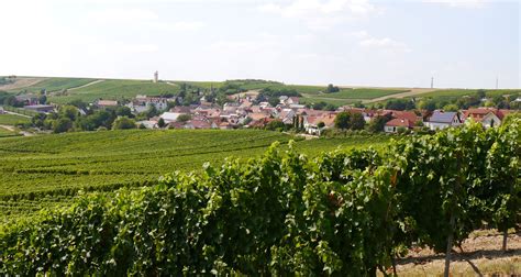Orte Und Lagen — Weingut Beiser