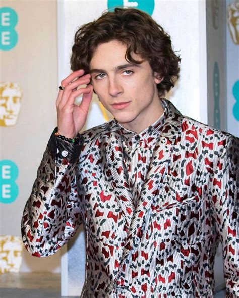 Pin By Gigi Bello On Timothée Chalamet ♡ Timothee Chalamet Gq Timmy T