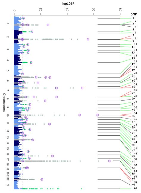 Manhattan Plot Of Hba1c Associated Variants Manhattan Plot Of The