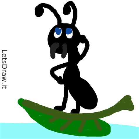 How To Draw Ants Dzuat81o3png Letsdrawit
