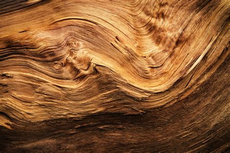 Nature Texture Photography