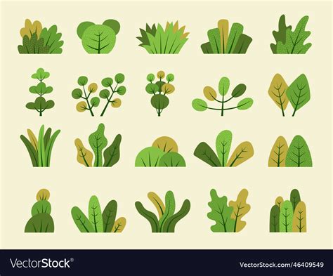 Stylized Bushes Green Grass Leaves And Bushes Vector Image