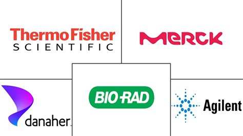 Gene Transfer Technologies Market Size Share And 2030 Growth Trends Report