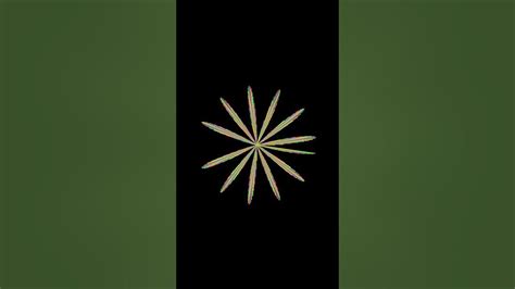 Amazing Python Graphics Design Using Turtle 🐢 Shorts Python