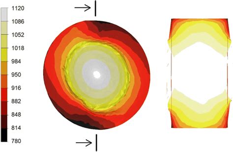 numerically predicted distribution of temperature in a specimen