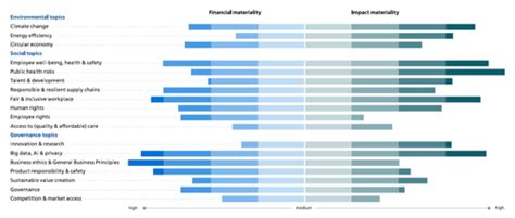Real World Double Materiality Chart Examples And Insights Datylon