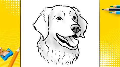 How To Draw A Dog Golden Retriever Step By Step Youtube