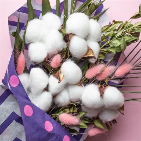 Lagurus Ovatus Drought Tolerant Bunny Tails Xeriscape Ornamental Grass Seed