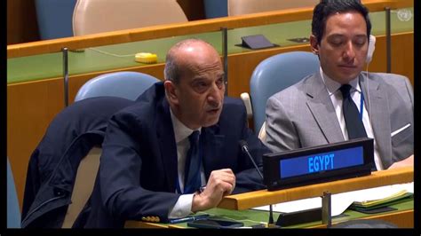 Summitofthefuture Egypt Sdgs Ifis Sdgs Osama Abdelkhalek