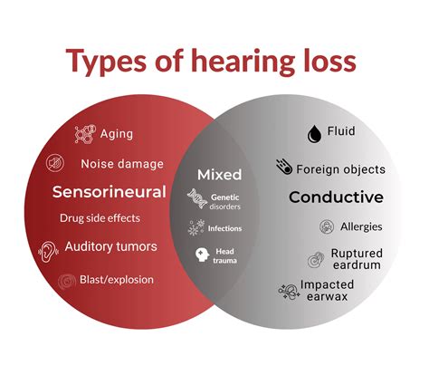 Types Of Hearing Loss Quality Hearing Care