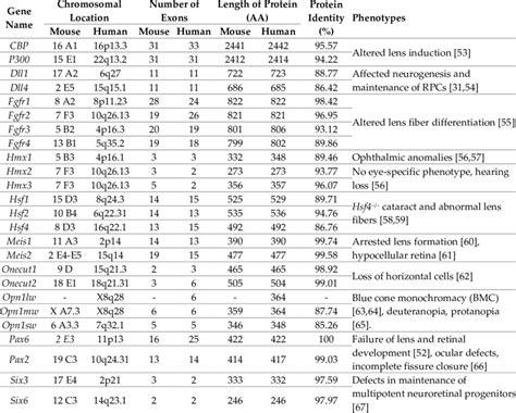 Overview Of Paralogous Genes Involved In Eye Development Download Scientific Diagram