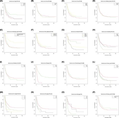 Kaplanmeiers Overall Survival Analysis Of Osteosarcoma Patients Over