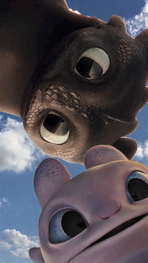 Toothless And Snotlout How To Train Your Dragon Wallpaper Toothless