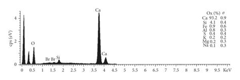 Microstructure Of Steel Reinforced Opc Concrete Aged For 28 D A Download Scientific Diagram