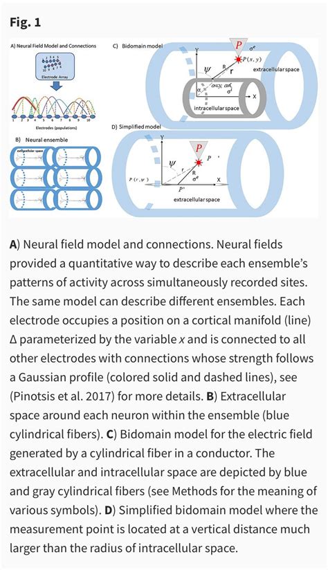 Martin Ciupa On Linkedin Title Brain Networks Encoding Memory Come