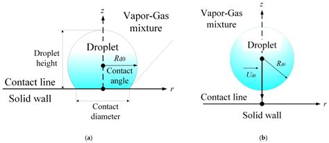 Hydrophilic And Hydrophobic Surfaces Features Of Interaction With