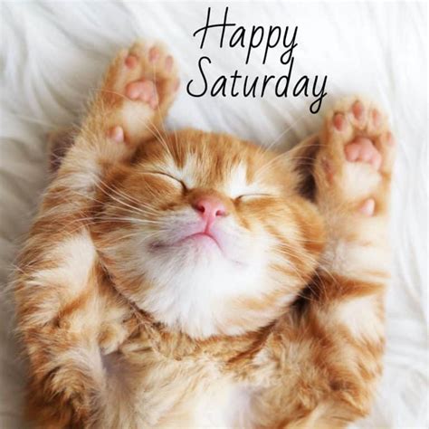 Happy Saturday 20 Images To Make You Smile