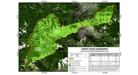 Forest Stratification Map Solid Hartabina Sdn Bhd