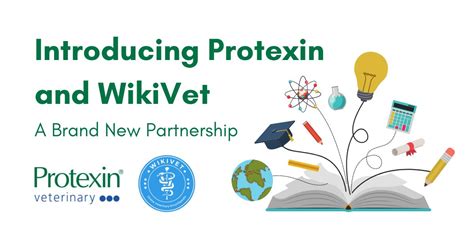 Anthony Chadwick The Webinar Vet On Linkedin Wikivet Partnership Admprotexin Veterinary