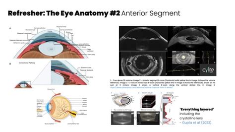 Next Gen Ophthalmic Imaging For Neurodegenerative Diseases And
