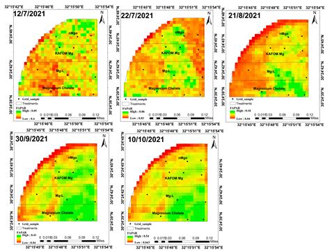 Multi Sensor Remote Sensing To Estimate Biophysical Variables Of Green