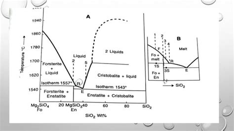 Peritectic Systemforsterite Silica Systemigneous Petrologypptx