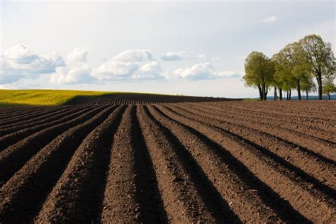 Valstybinės žemės Pirkimas Ką Reikia žinoti Norint įsigyti