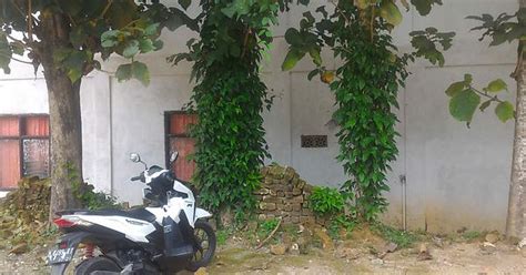 Cabe Jamu Album On Imgur