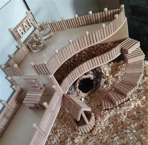 7 Hamster Ideas Hamster Hamster Diy Cage Hamster Cages