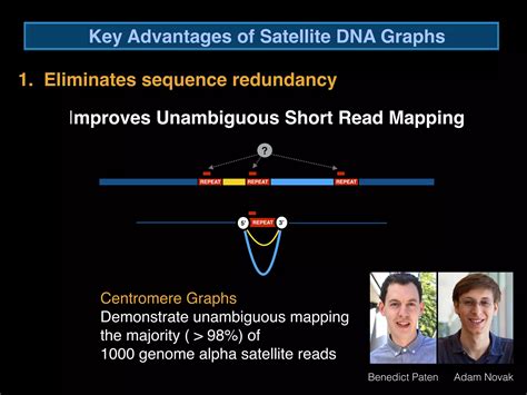 Karen Miga Centromere Sequence Characterization And Variant Detection Ppt