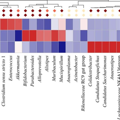 Microbial Community Analysis A Statistical Analysis Of The Top 35 Download Scientific Diagram