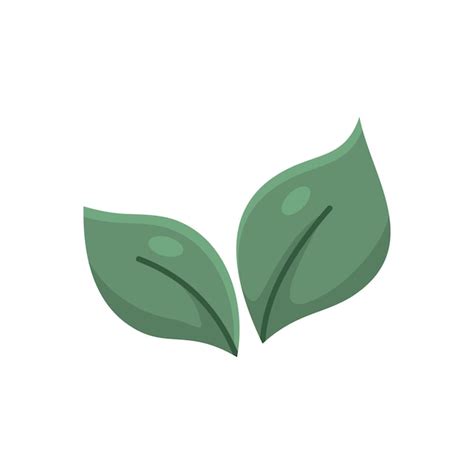 Premium Vector Leaf Element Ornament Design