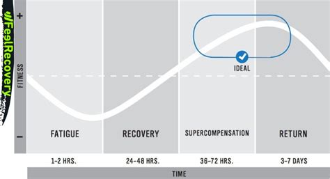 Muscle Recovery Für Athleten Feel Recovery®