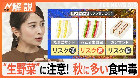 秋は 3つの食中毒”に注意 高温や水分だけじゃない！食中毒予防の 大敵”はお弁当から回避を【nスタ解説】 Tbs News Dig