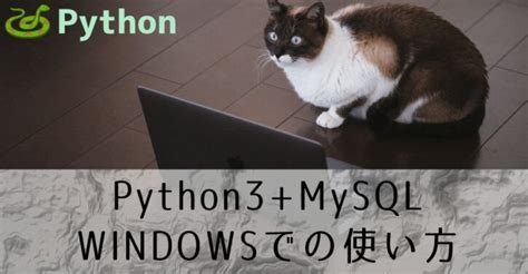 Pythonの設定ファイル管理まとめ settings ini json 形式別 コピペサンプルコード付き KodoCode