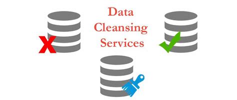 Outsource For The Best Data Cleansing Services Apoyo Corp