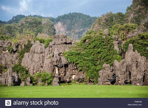 Download This Stock Image Maros Indonesia June 2018 Karst Landscape With Limestone Domes